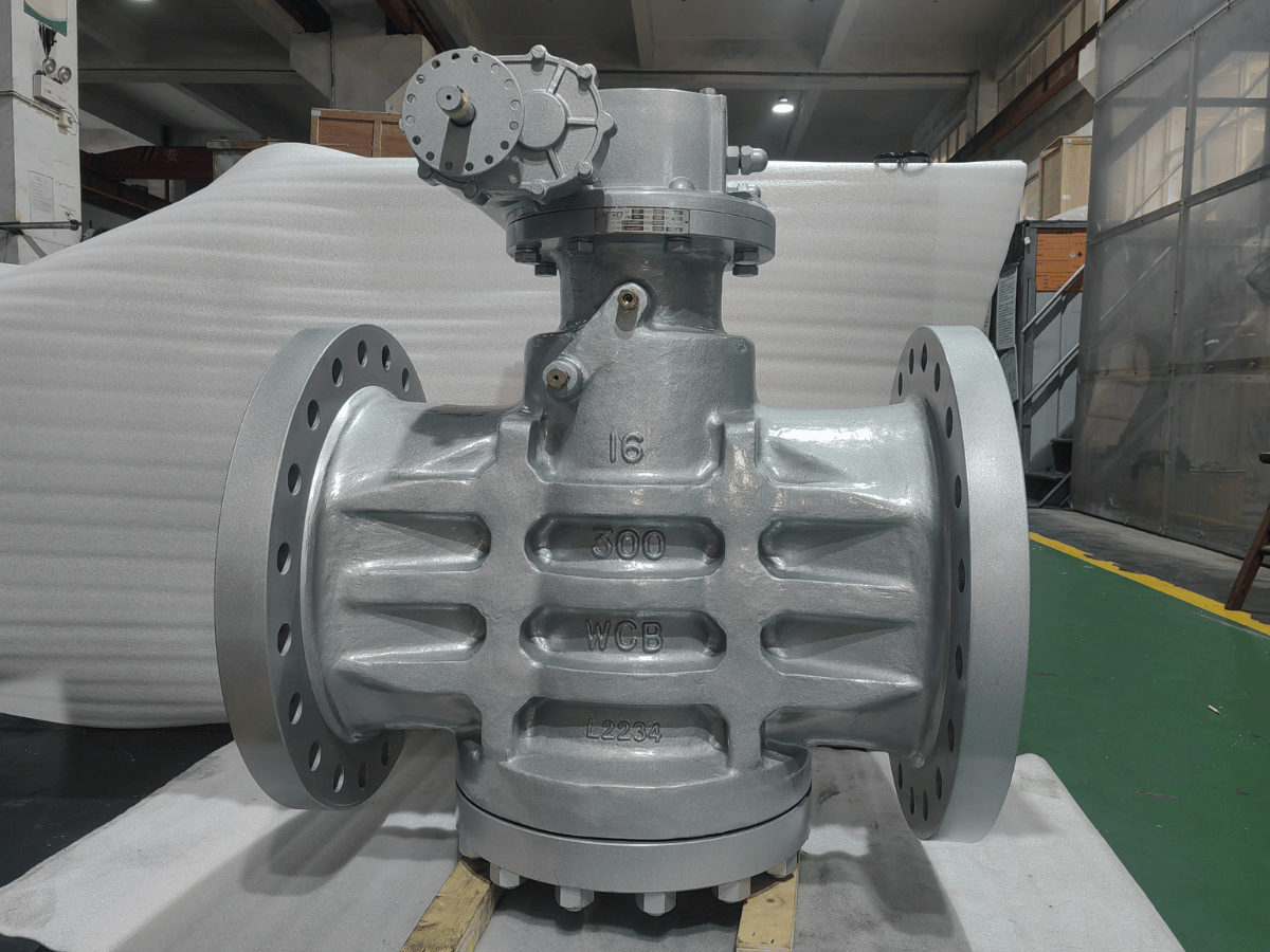 Plug Valve Vs Globe Valve: A Comprehensive Comparison | NTVAL
