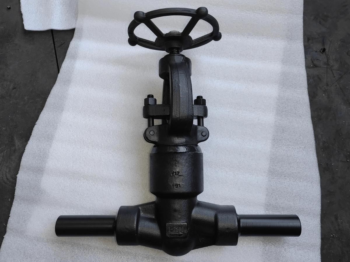 Plug Valve Vs Globe Valve: A Comprehensive Comparison | NTVAL