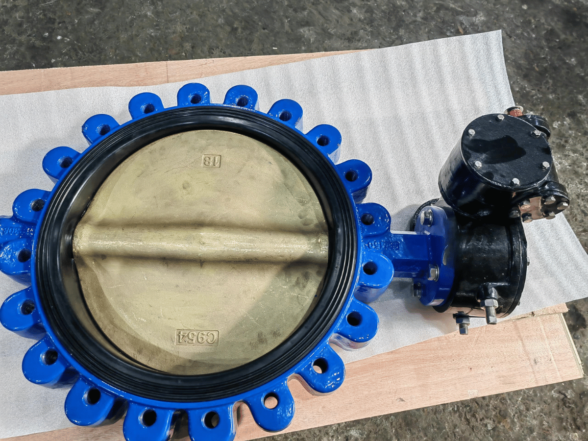 10 Different Types Of Butterfly Valve | NTVAL