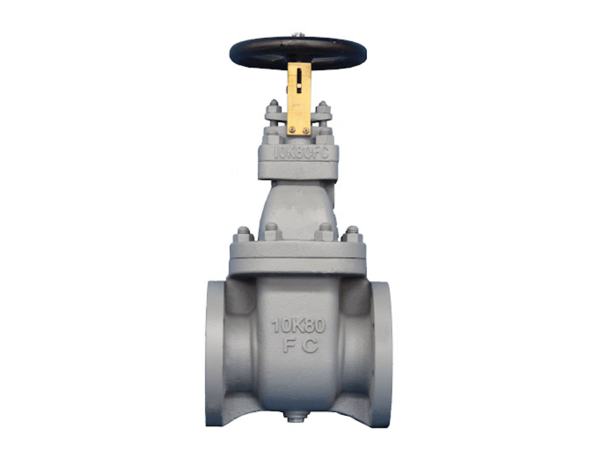 Top 9 Gate Valve Manufacturers | NTVAL
