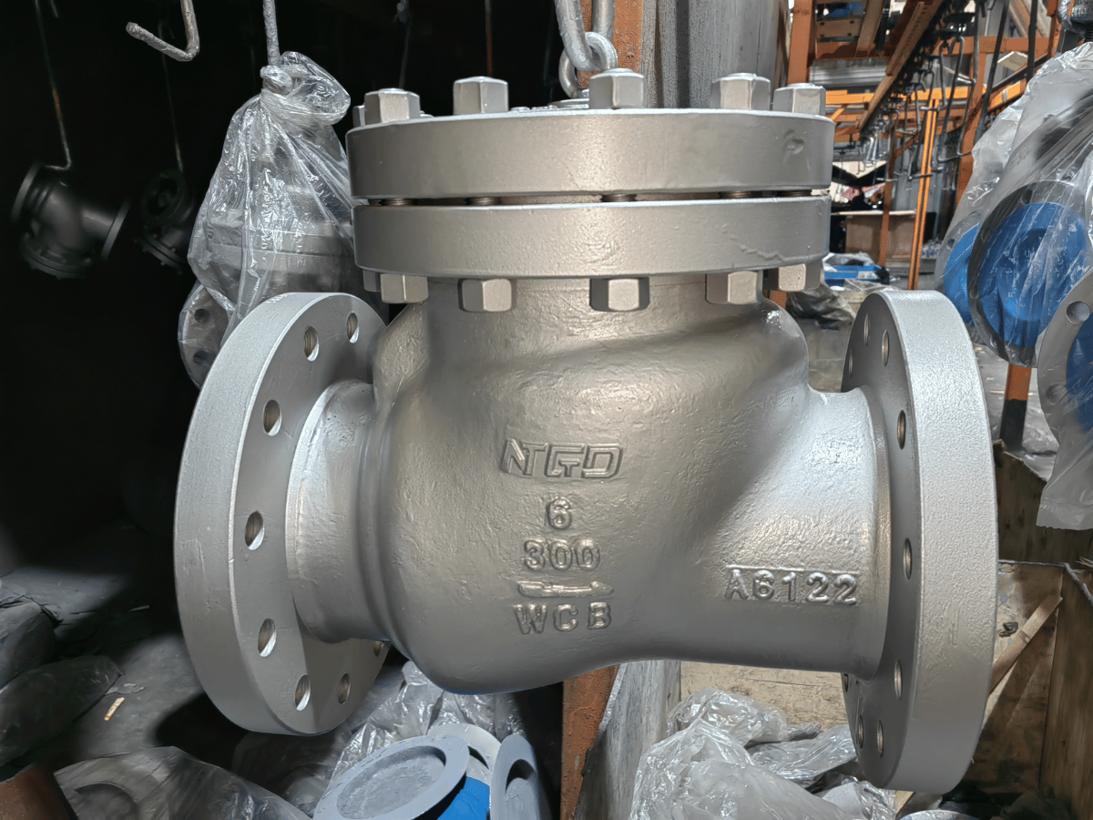 10 Different Types Of Check Valve | NTVAL