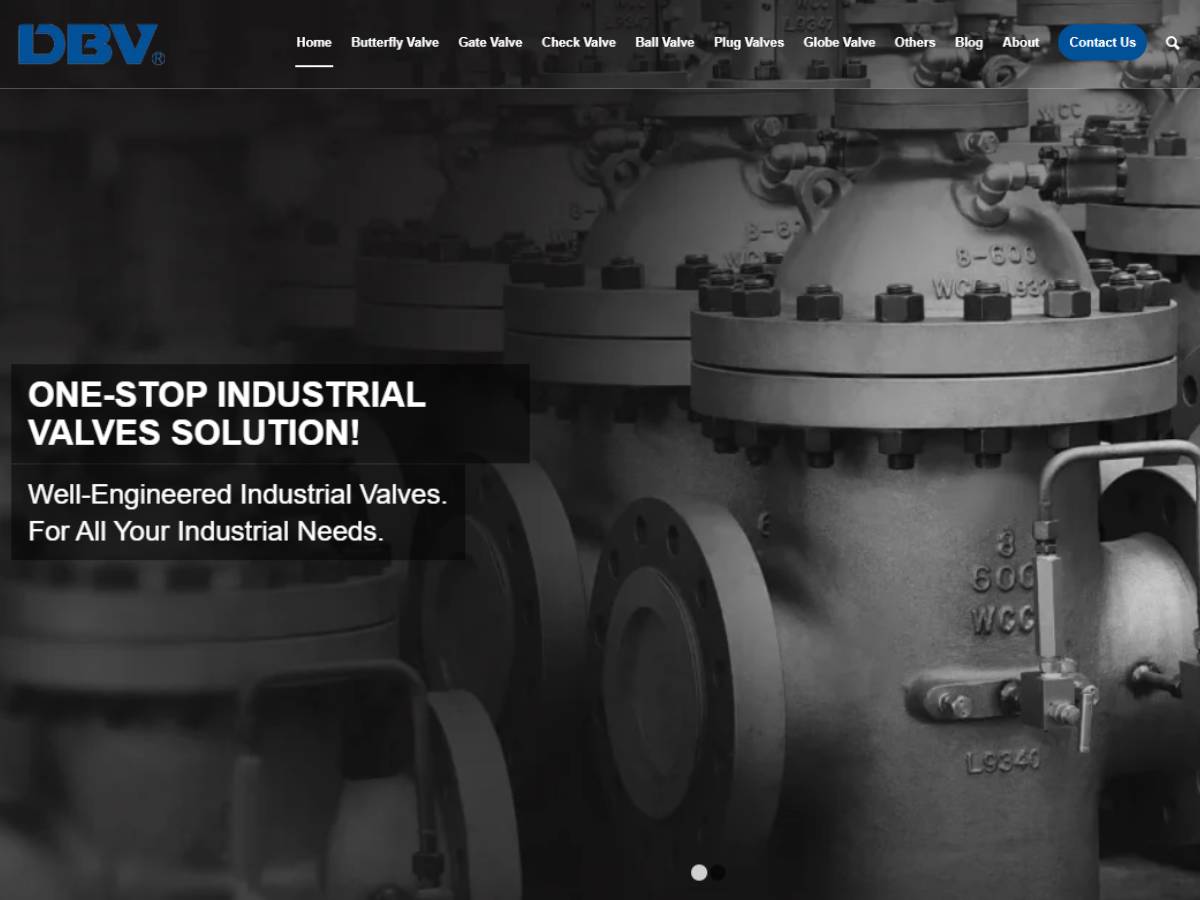 Top 9 Slab Gate Valve Manufacturers | NTVAL
