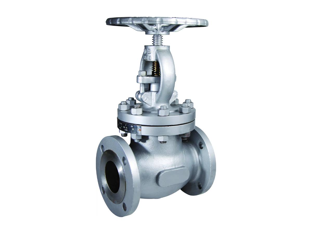 Top 7 Globe Valve Manufacturers In Europe | NTVAL