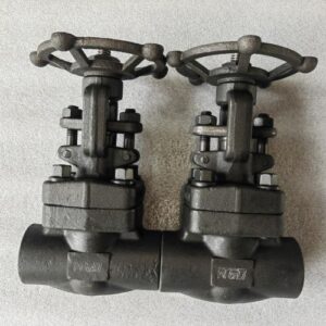 Double Disc Gate Valve | NTVAL