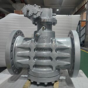 Double Disc Gate Valve | NTVAL