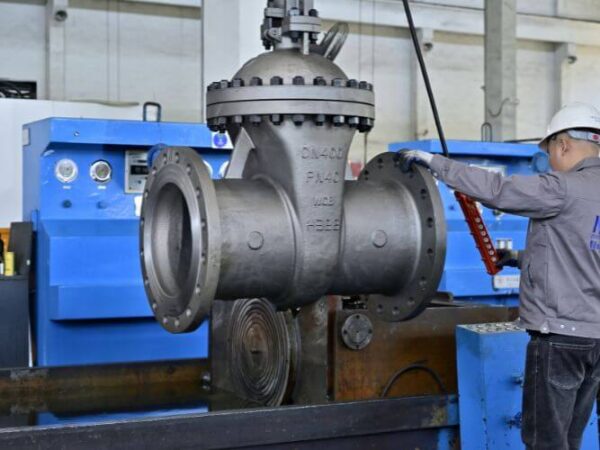Piston Check Valve | NTVAL
