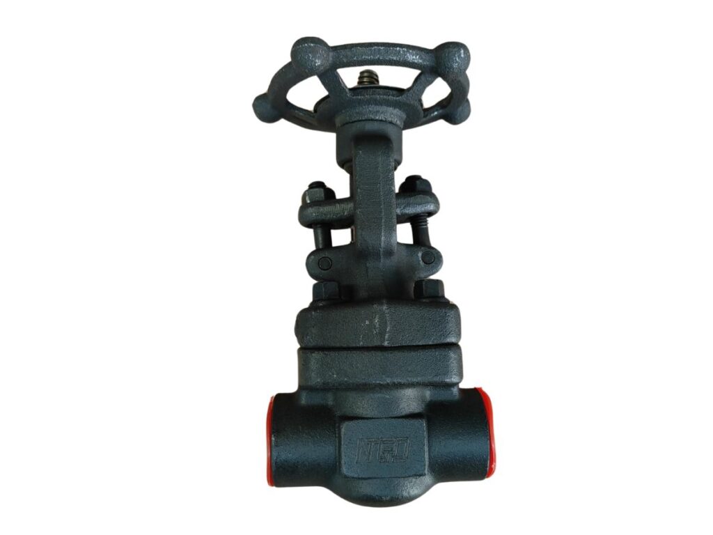API 602 Gate Valve | NTVAL